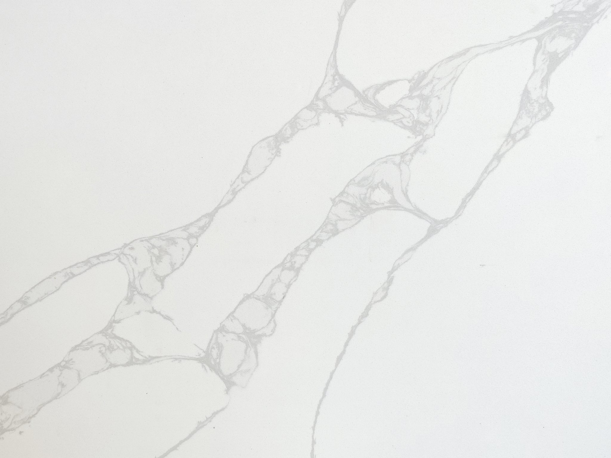 Calacatta Rocky - VIVA by Pacific | Quartz for Kitchen Countertops