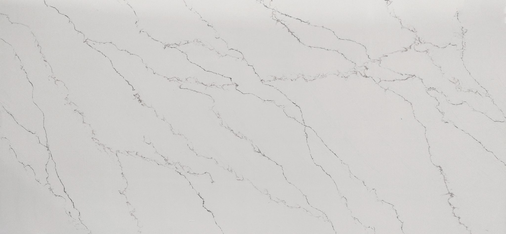 Calacatta Miracle - VIVA by Pacific | Quartz for Kitchen Countertops